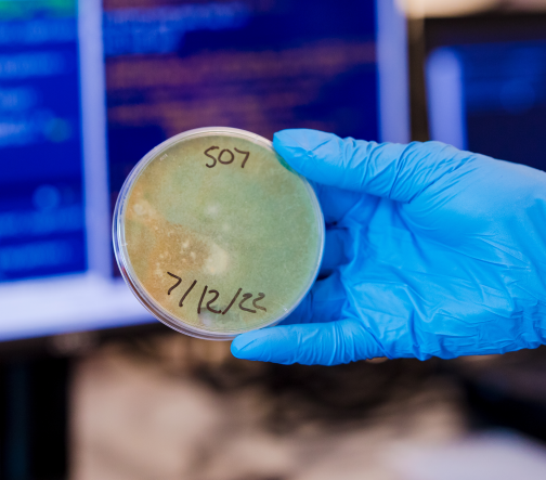 Precision Microbiome Engineering Research Center